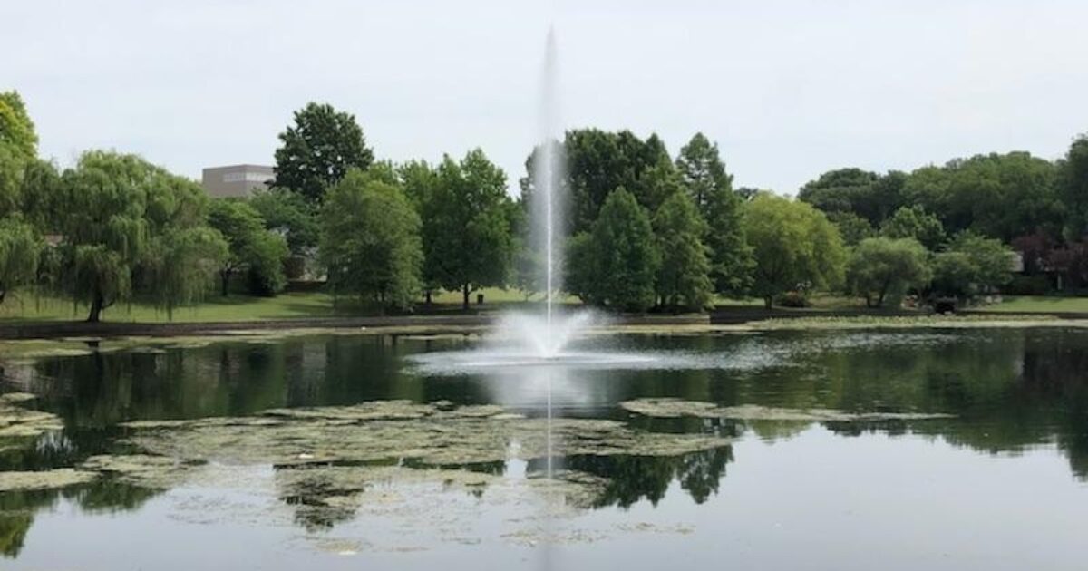 Our Locations | Burrell Behavioral Health